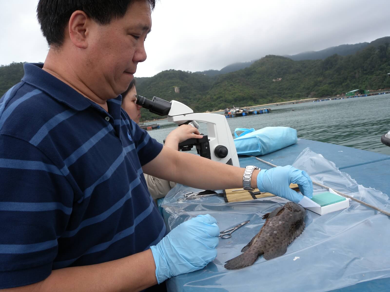 Fishery Technicians - Career Exploration - talent.gov.hk